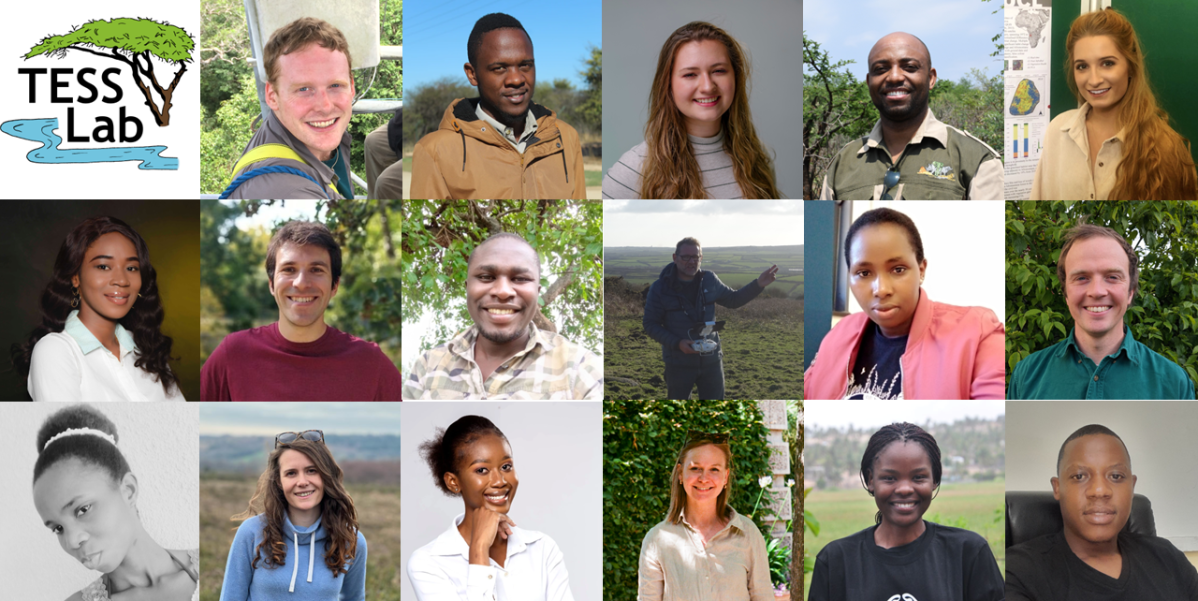 Terrestrial Ecosystem Science & Services